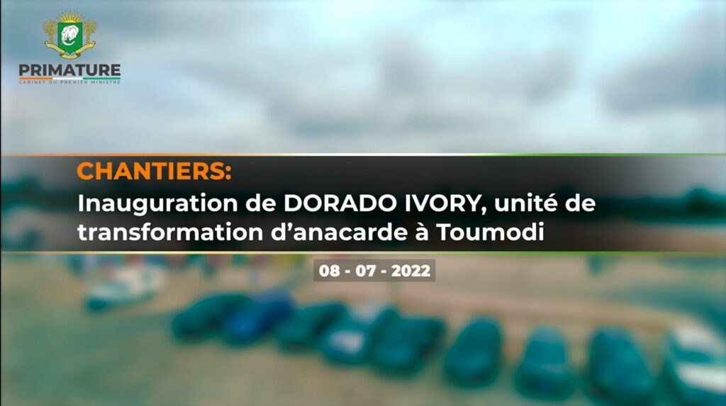 L'usine d’anacarde de Toumodi : symbole de l’accélération de la ...