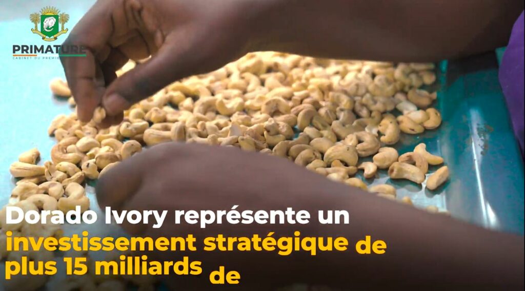 L'usine d’anacarde de Toumodi : symbole de l’accélération de la ...