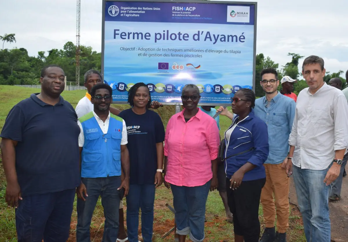 Côte d’Ivoire : la production de tilapia estimée entre 8.000 et 10.000 ...