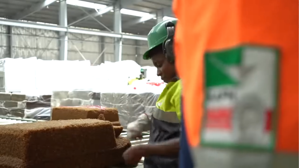 Transformation de l’hévéa : La SAPH ouvre sa 6ème usine à Soubré.
